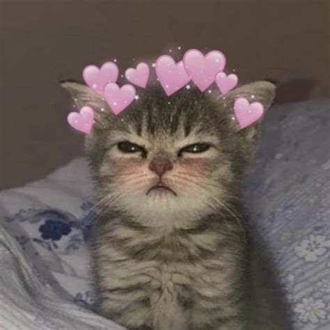 Roopal Chauhan Youtube