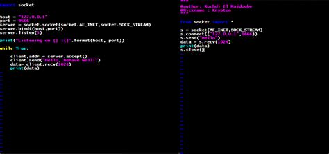 How To Create Your First Tcp Server Using Python Cyber Connector