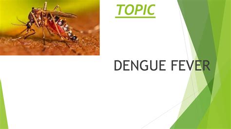 Dengue Ppt Pptx