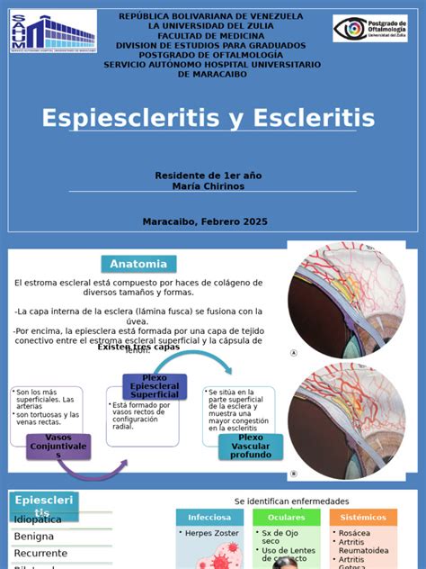 Escleritis Y Epiescleritis Diagnóstico Y Tratamiento Pdf