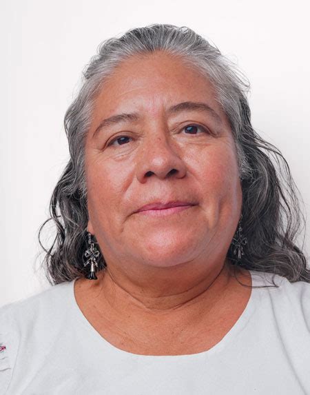 Cortés García Luisa Grupo Parlamentario De Morena En El Senado De La República