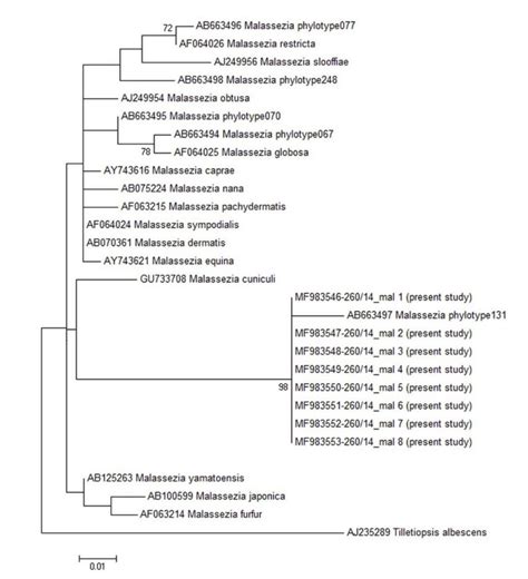 Evolutionary History Inferred By Maximum Likelihood Method Based On The