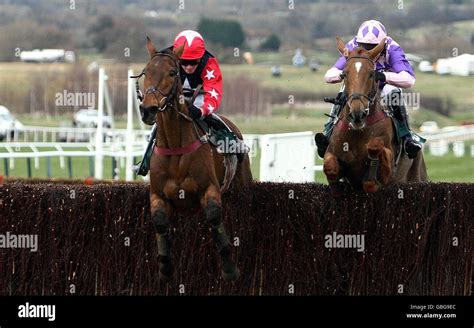 William Biddick On Something Wells Clears The Last Ahead Of Ping Pong