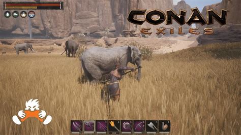 Where To Find Ivory Whatchouwant In 90 Seconds Conan Exiles Youtube