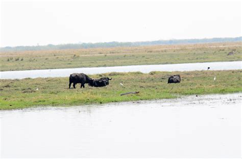 Dsc2047 Ryan Posner Flickr