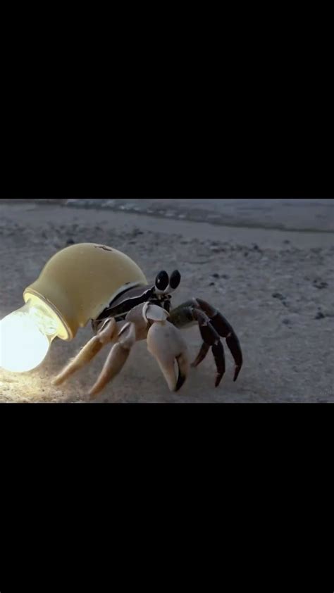 Soraai Soravideoai • Instagram Photos And Videos