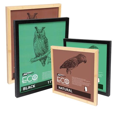 Ambiance Eco Frames Jerrys Artarama