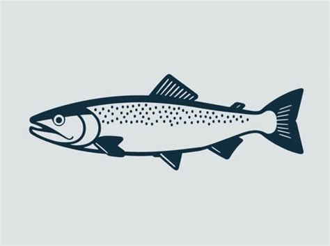 Habitat Of Chinook Salmon