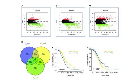 Significant Difference Gene Analysis A Different Expression