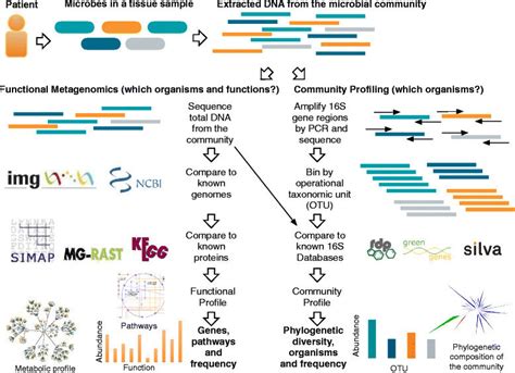 Overview Of Methods For Community Profiling And Functional