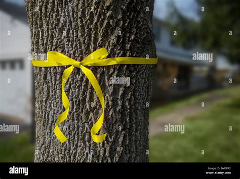 Military Yellow Ribbon Oak Tree