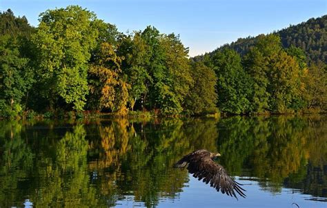 À Propos De La Zec Nom De La Zec