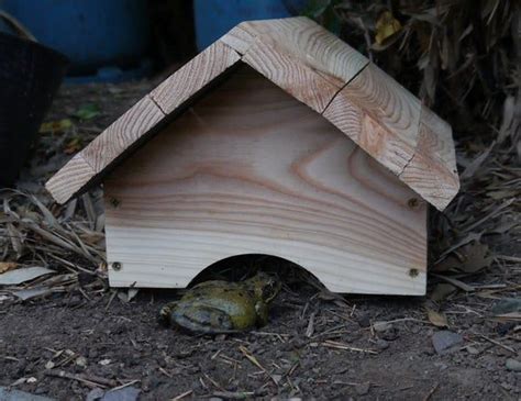 Toad Hall Frog House Etsy Frog House Toad House Toad