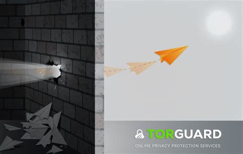 Introducing Torguards New Premium Proxy Plan