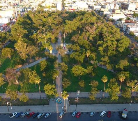 Revitalización De La Alameda Monterrey Todas Las Propuestas Primer