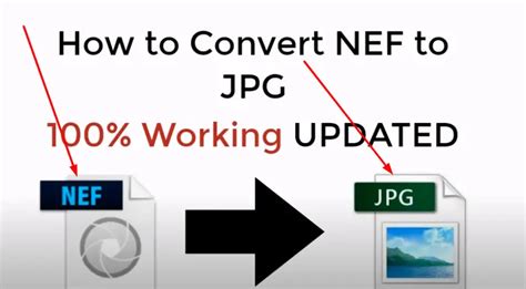 How To Connect Nikon D3500 To Computer Solved