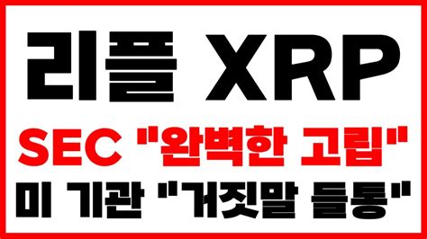 리플 Xrp 새벽 Sec 완벽한 고립 미 기관 거짓말 들통 Youtube