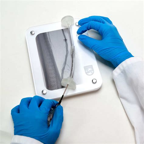 Vessel Dissection Custom Medical Model Pulsemdm