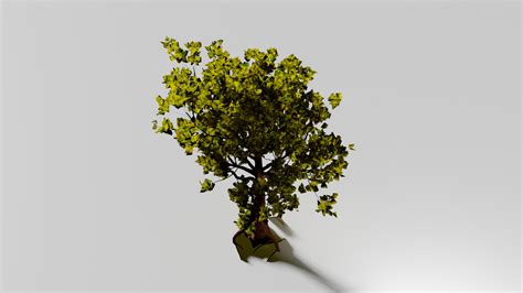 3d Tree Procedural Texture Model Turbosquid 2087214
