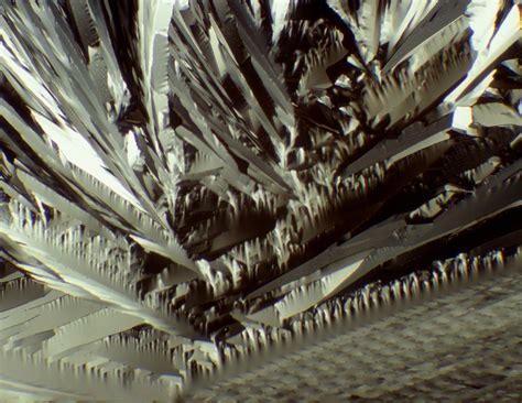 Testosterone Base Crystals Nikon Small World