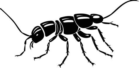 A Simple Yet Striking Black And White Illustration Of A Cockroach In A