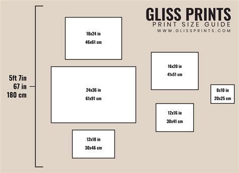 Alto Clef Note Names Poster Music Education Poster Blue Etsy