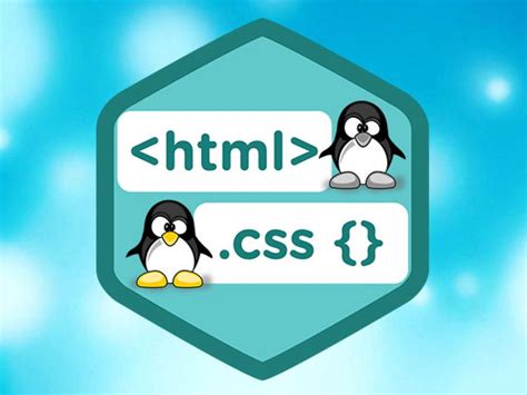 Lộ trình học HTML và CSS đơn giản nhưng mang lại hiệu quả bất ngờ