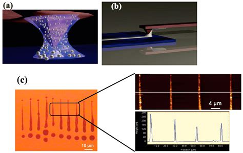 Scanning Probe Lithography State Of The Art And Future Perspectives