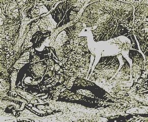 White Stag