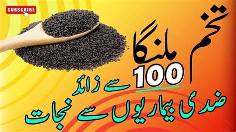 Tukham Malanga Benefits And How To Use Basil Seeds Youtube