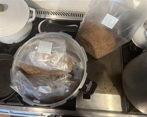 Pc And Spawn Bag Advice Rpsilocybingrowers