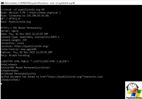 Установка Netcat в Windows и Linux Настройка серверов Windows и Linux