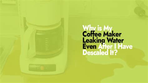 Why Is My Coffee Maker Leaking Water Even After I Have Descaled It