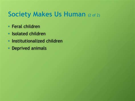 Chapter 3 Lecture Notespptx