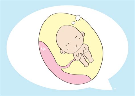Everything You Need To Know About Amniotic Fluid Index