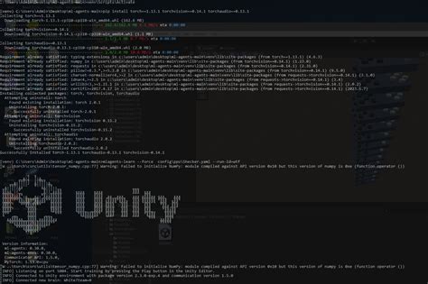 When Running Any Ml Agent Even From The Examples Folder Such As Hallway And Match3 The