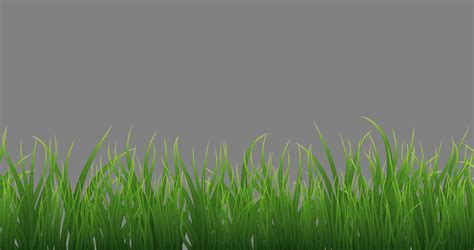 Grass Unveils Max Supply 10 Airdrop Allocation