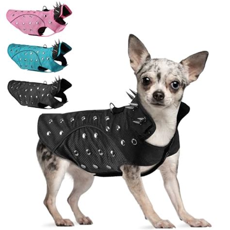 I Tried The Dog Protection Vest From Hawks And Heres Why Its A Must