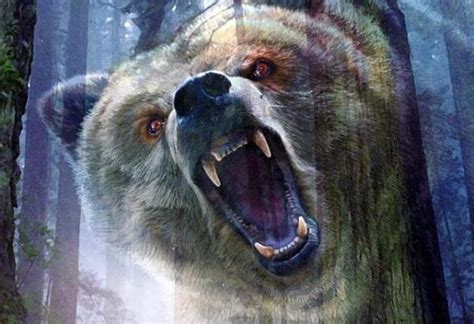 Bear Villains Wiki Fandom