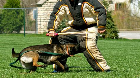 Bite Suits Redline K 9