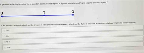 Solved A Gardener Is Planting Herbs In A Line In A Garden Basil Is Located At Point B Thyme
