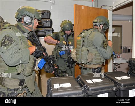 Deputy Sheriff Swat