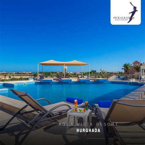 Maged Shenouda Posted On Linkedin