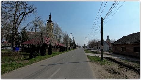 O Zi Plină De Energie Lunca Timisului
