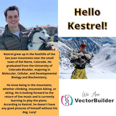 Vectorbuilder On Linkedin Vectorbuilder Welcome Wearevectorbuilder Teamworkmakesthedreamwork