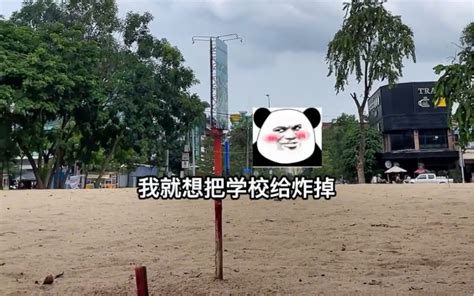 其实我挺讨厌上学的、上小学开始，我就幻想把学校炸掉！ 一只章小巨 一只章小巨 哔哩哔哩视频