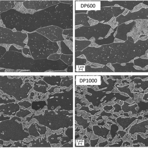 Scanning Electron Microscope Sem Images Representative Of The Download Scientific Diagram