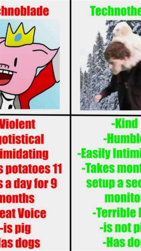 My Fav Fanart Of Technoblade Minecraft Funny Memes Funny Memes