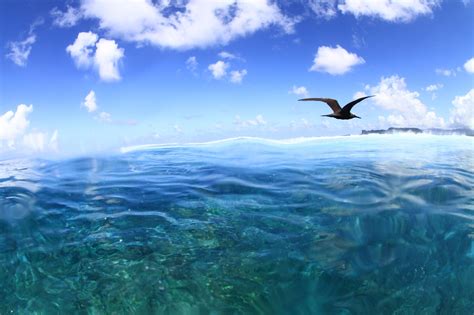 Pohnpei State Public Information Office Of The Governor Kolonia