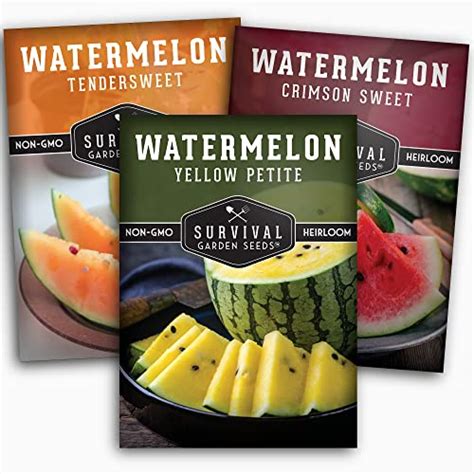 Whats Behind Watermelon With Yellow Spots Inside Green Plate Pursuits